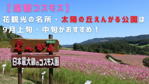 移住者が語る北海道まるごと体験ブログ-